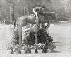 National Show Hunter Hall of Fame Photo Gallery