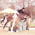 National Show Hunter Hall of Fame Photo Gallery