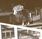 National Show Hunter Hall of Fame Photo Gallery