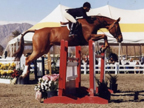 National Show Hunter Hall of Fame Photo Gallery
